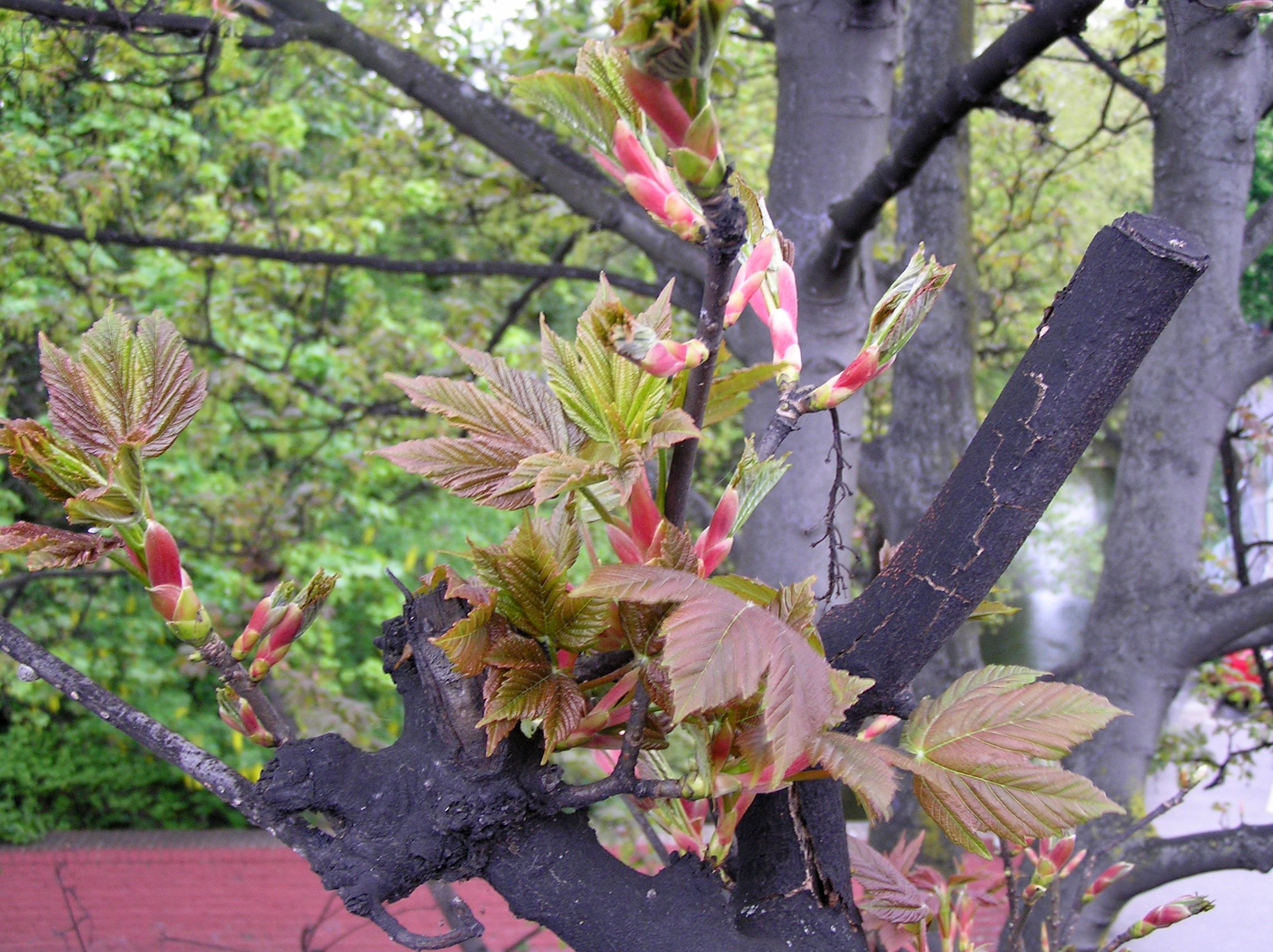 Filthy Humans – inkbiotic